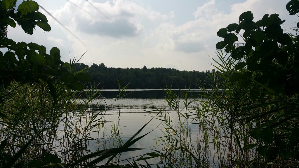 Brühl | Heider Bergsee - Ausflüge mit Hund